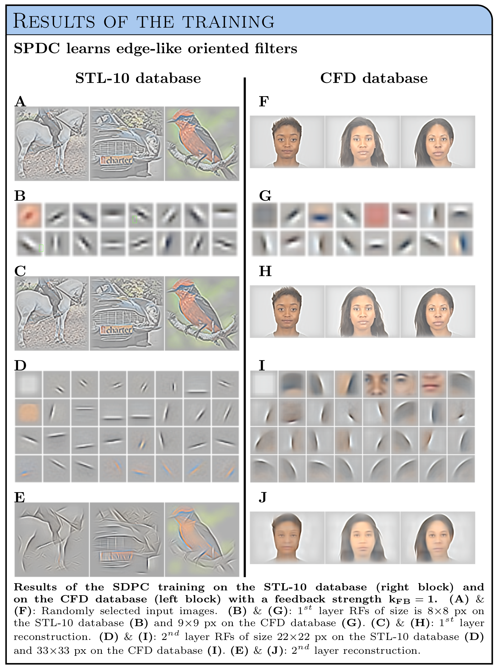 Sparse Deep Predictive Coding To Model Visual Object Recognition Next 6486